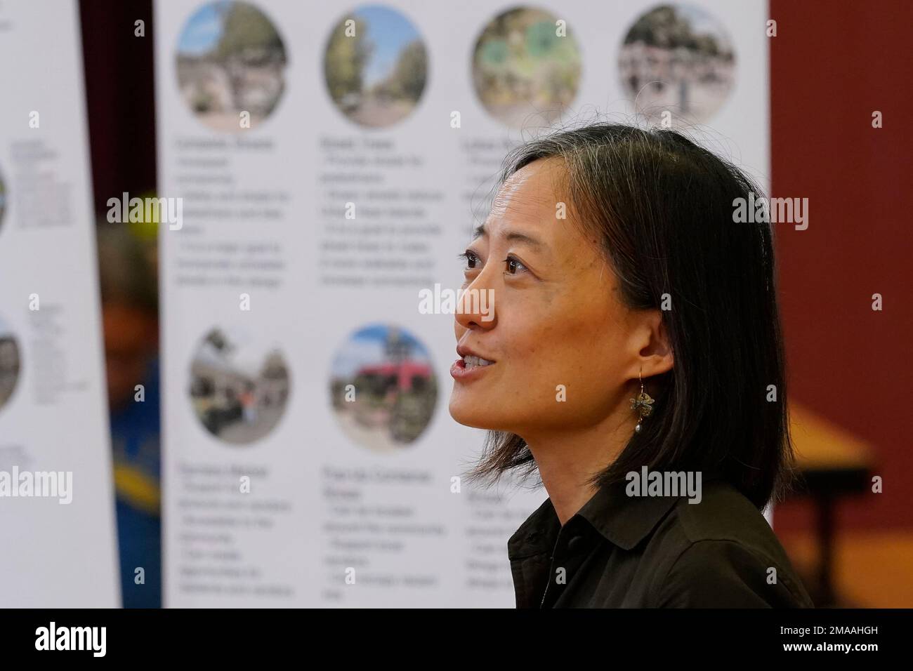 Arizona State University graduate design professor Chingwen Cheng ...