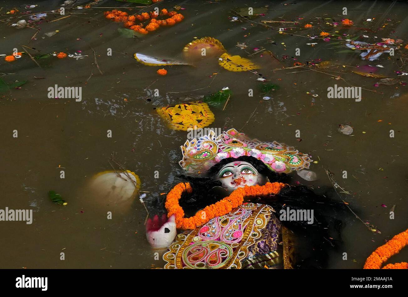 An idol of Hindu Goddess Durga floats in a makeshift pond after it was ...
