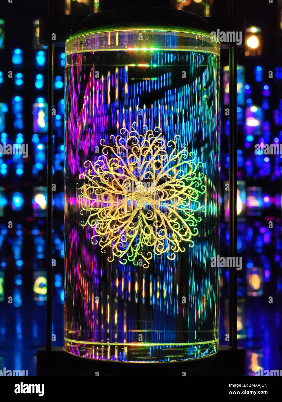 Glass models' of 1000s of animals hang from the ceiling with light ...