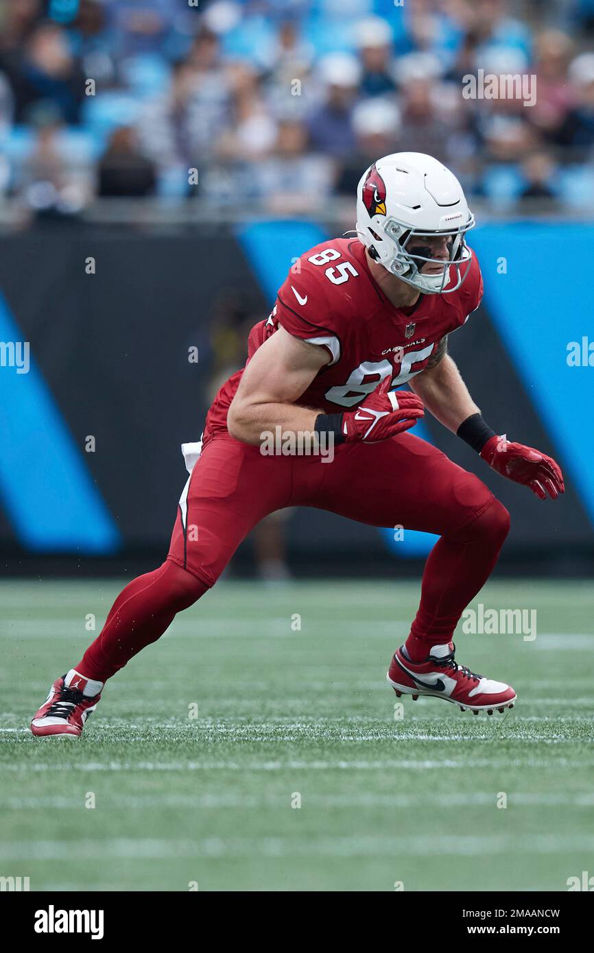 Arizona Cardinals tight end Trey McBride (85) on offense during an NFL ...