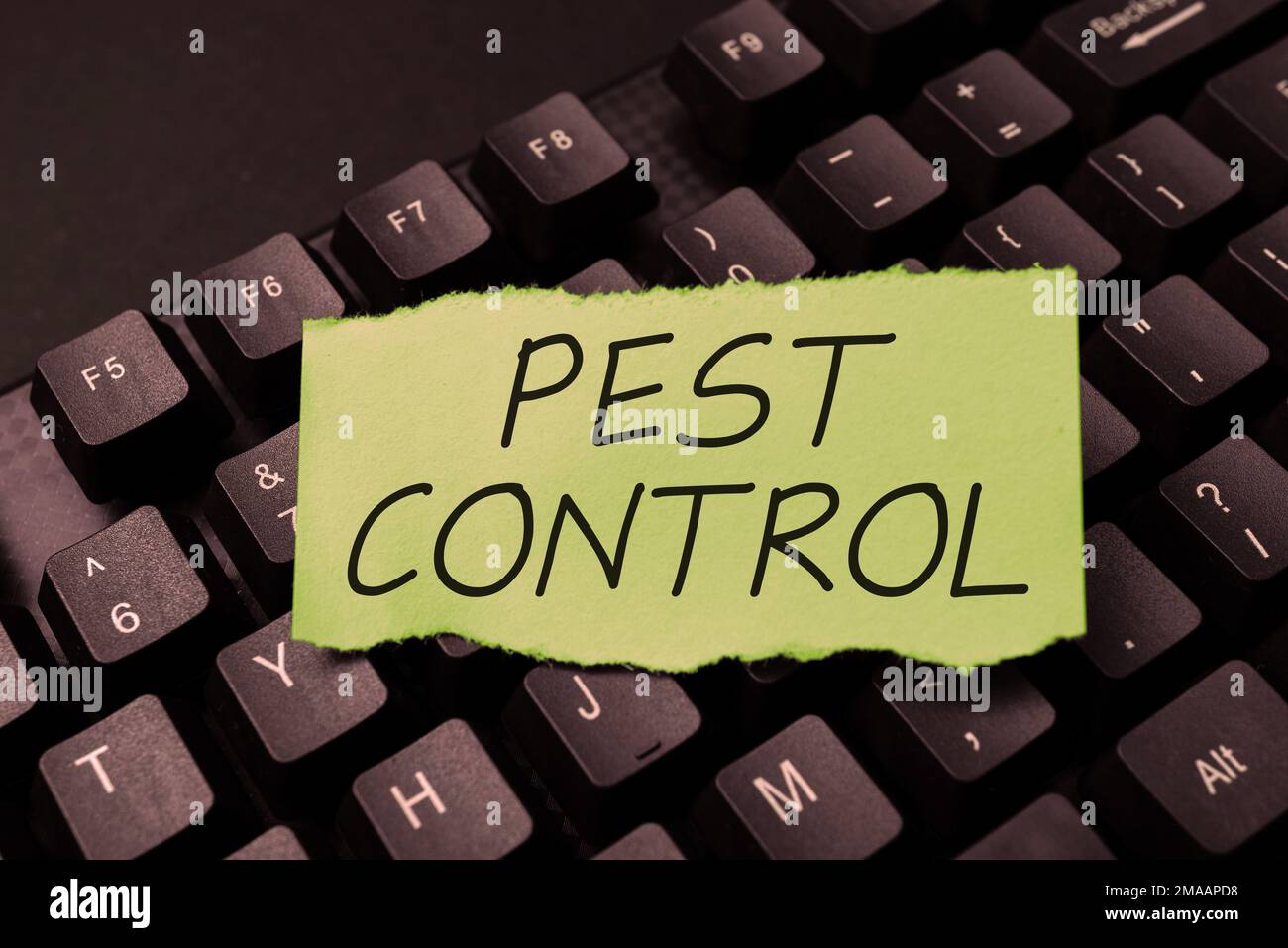Hand writing sign Pest Control. Business approach Killing destructive ...