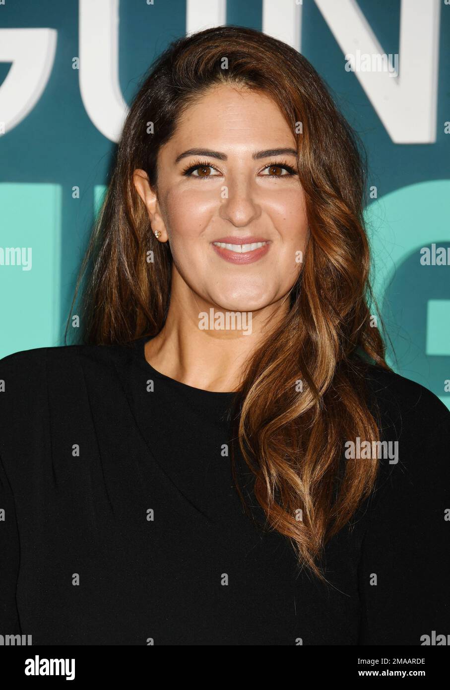 HOLLYWOOD, CA - JANUARY 18: D'Arcy Carden attends the Los Angeles ...