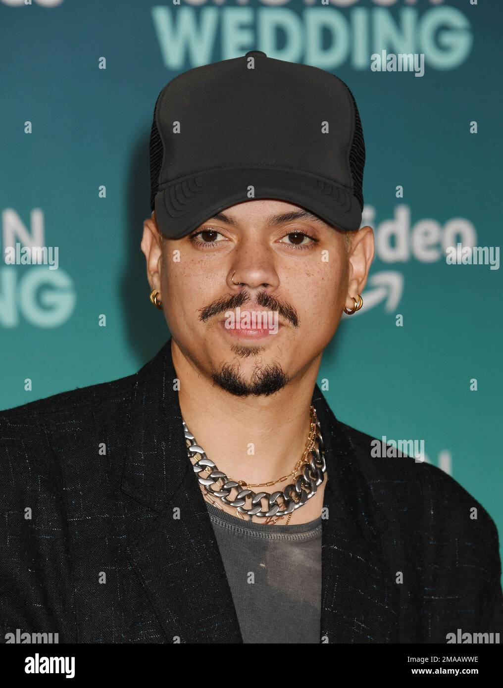 HOLLYWOOD, CA - JANUARY 18: Evan Ross attends the Los Angeles premiere ...