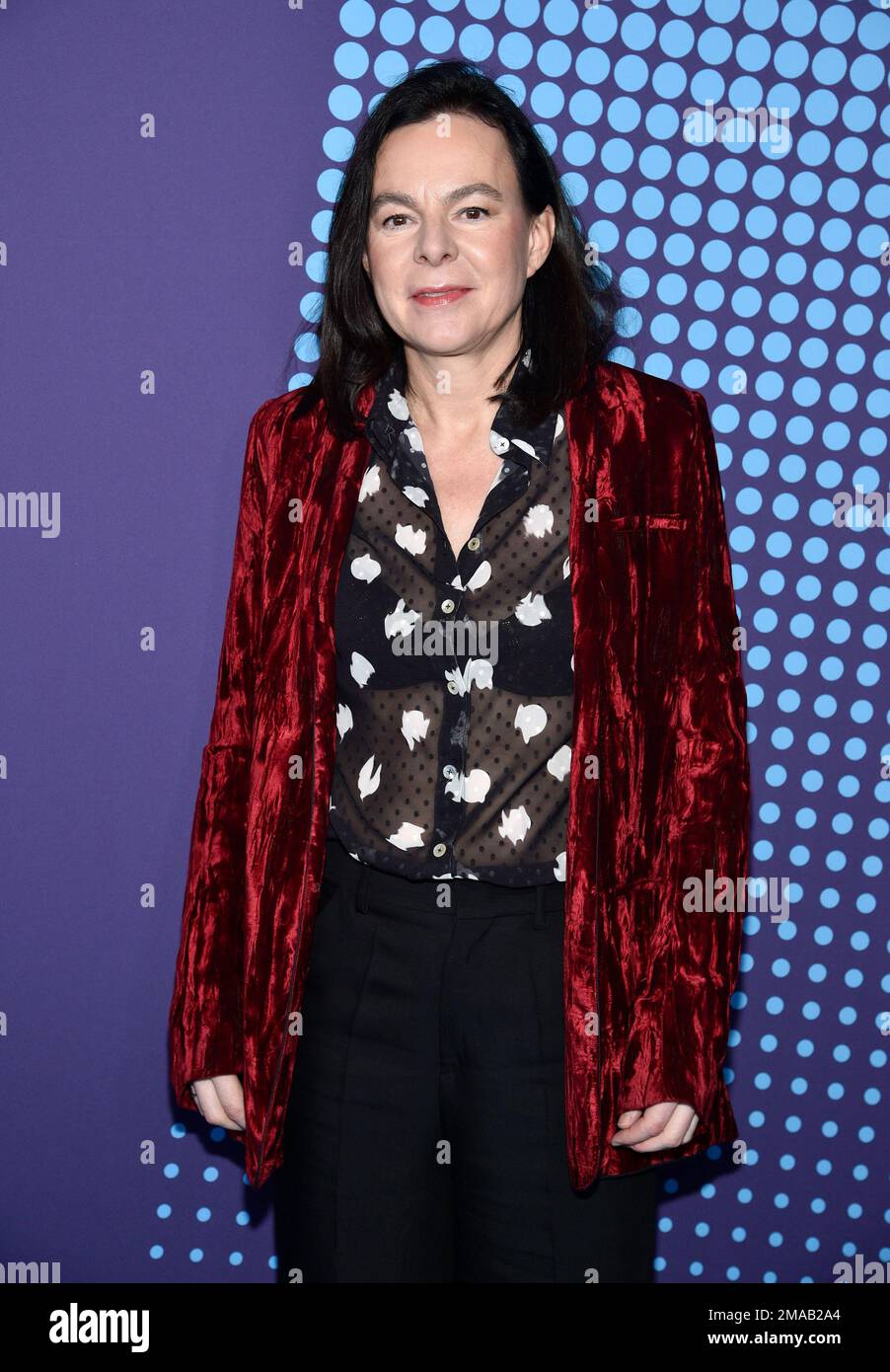 Monika Willi attends the premiere of "Tár" at Alice Tully Hall during ...