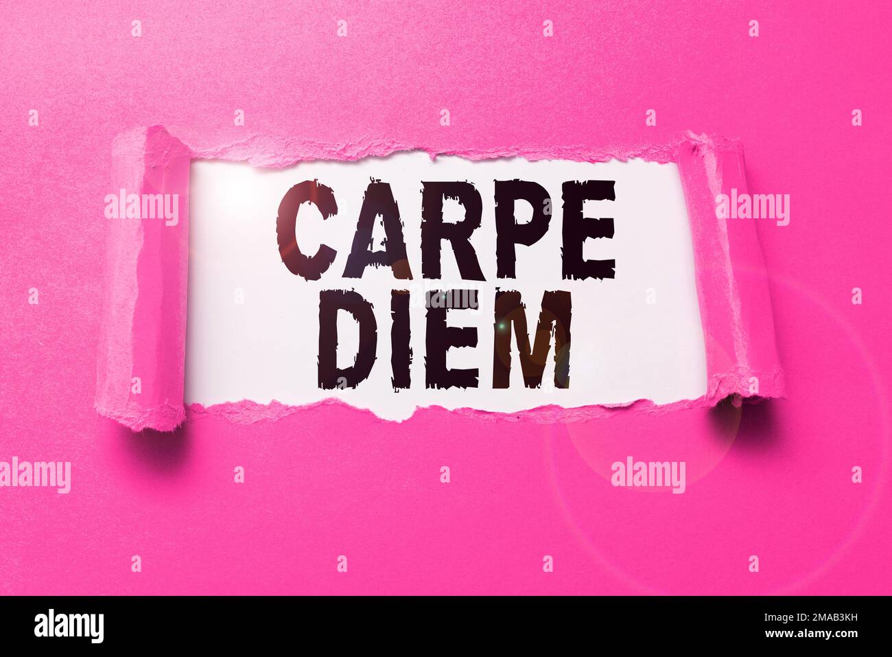 Writing displaying text Carpe Diem. Business idea public festival which ...