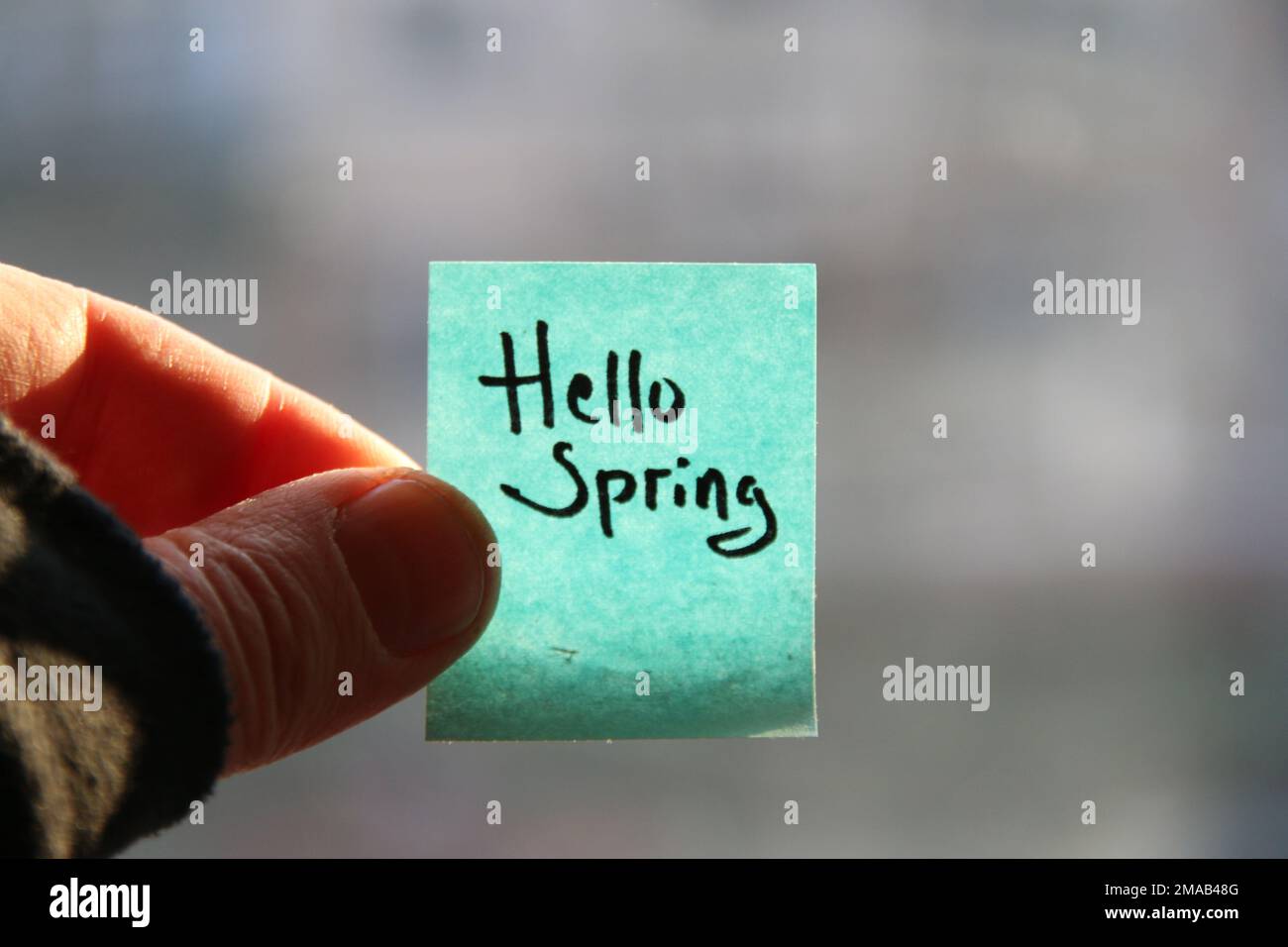 Hello Spring concept! The inscription on the blue tag Stock Photo - Alamy