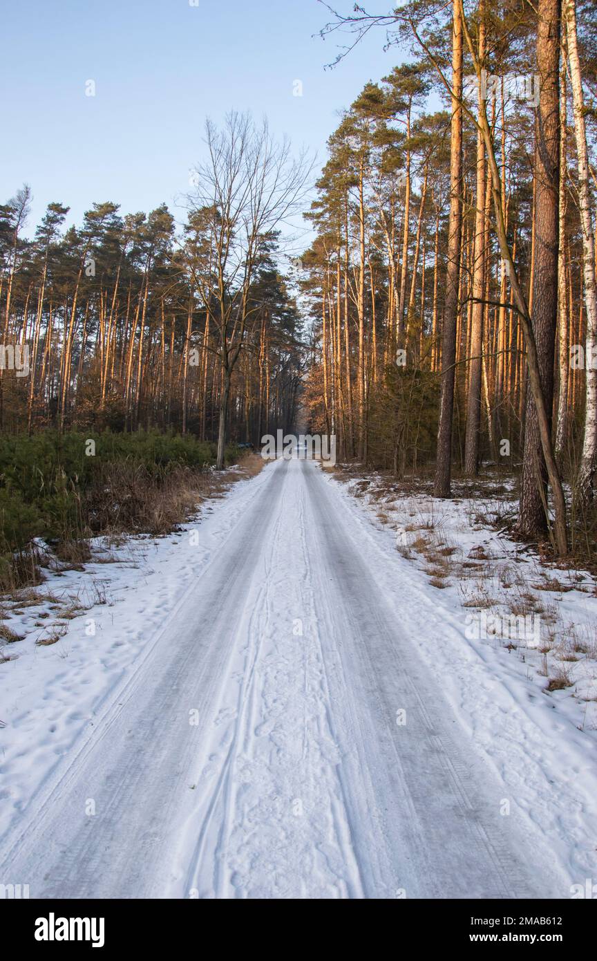 Simple winter setting hi-res stock photography and images - Alamy