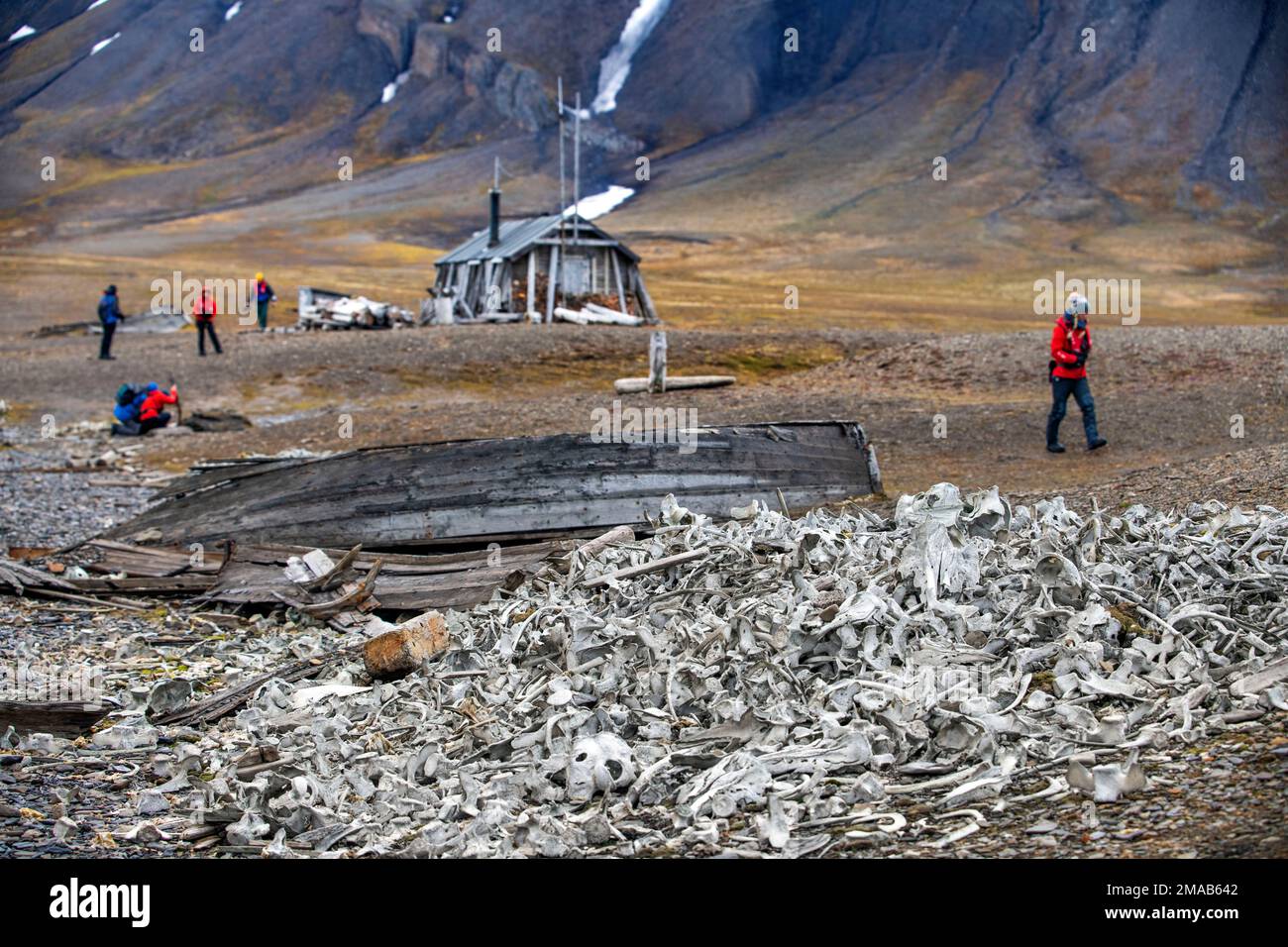 Beluga bones and Wooden boat and cabin Bamsebu at Ahlstrandhalvoya ...