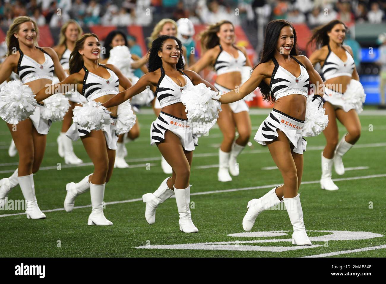 Cincinnati Bengals cheerleaders perform before an NFL football game ...