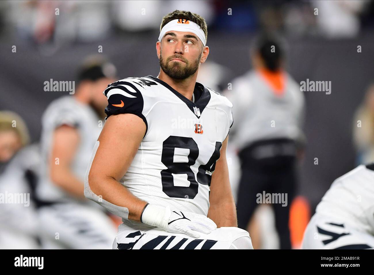 Cincinnati Bengals tight end Mitchell Wilcox (84) warms up before an ...