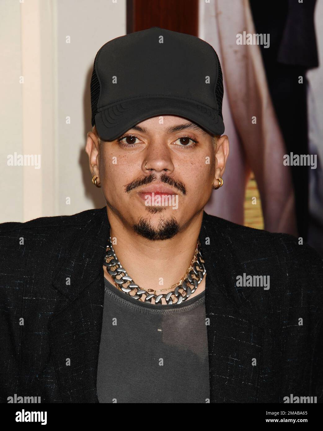 HOLLYWOOD, CA - JANUARY 18: Evan Ross attends the Los Angeles premiere ...