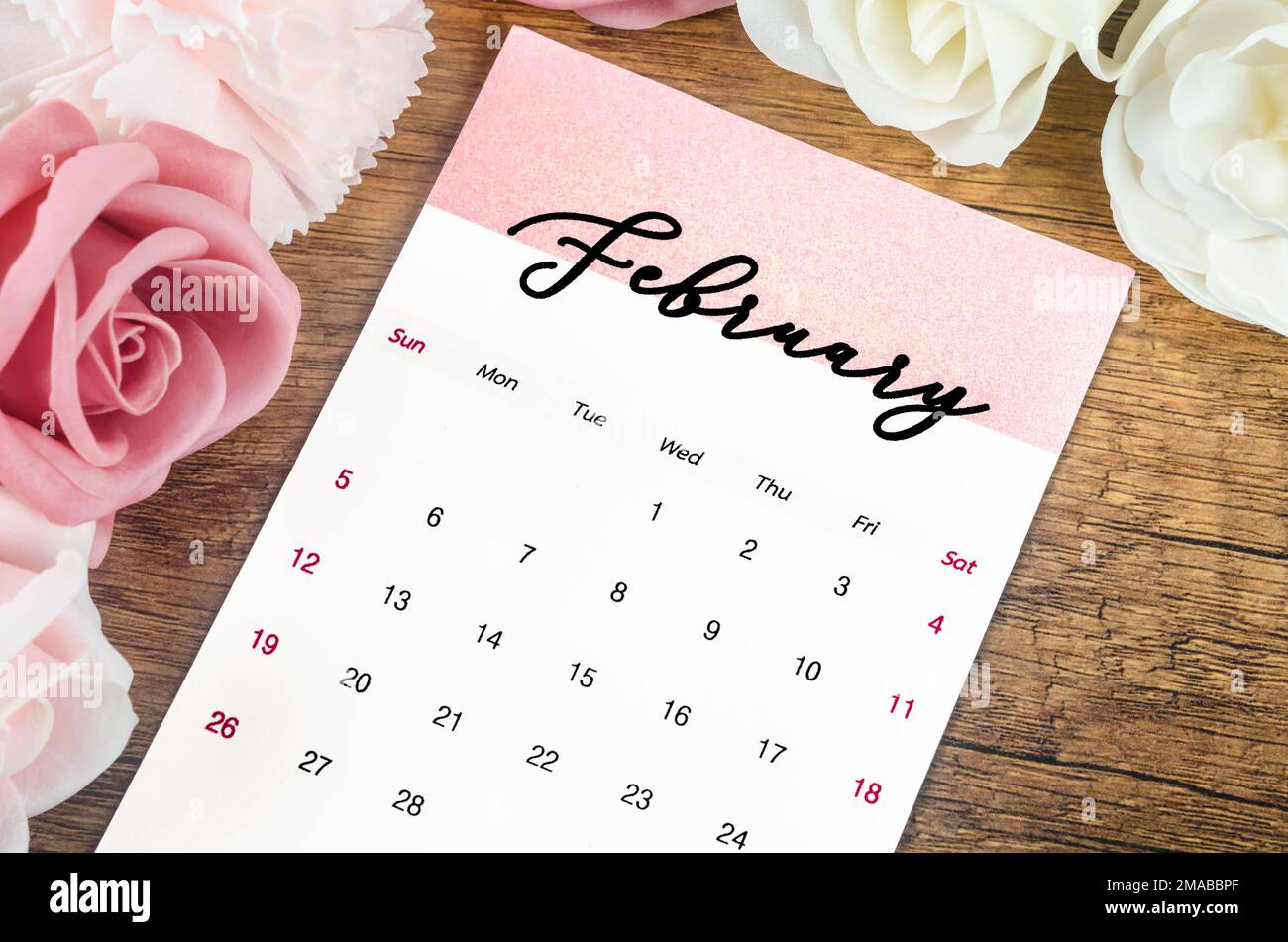February 2023 Monthly calendar for 2023 year with pink rose on wooden ...
