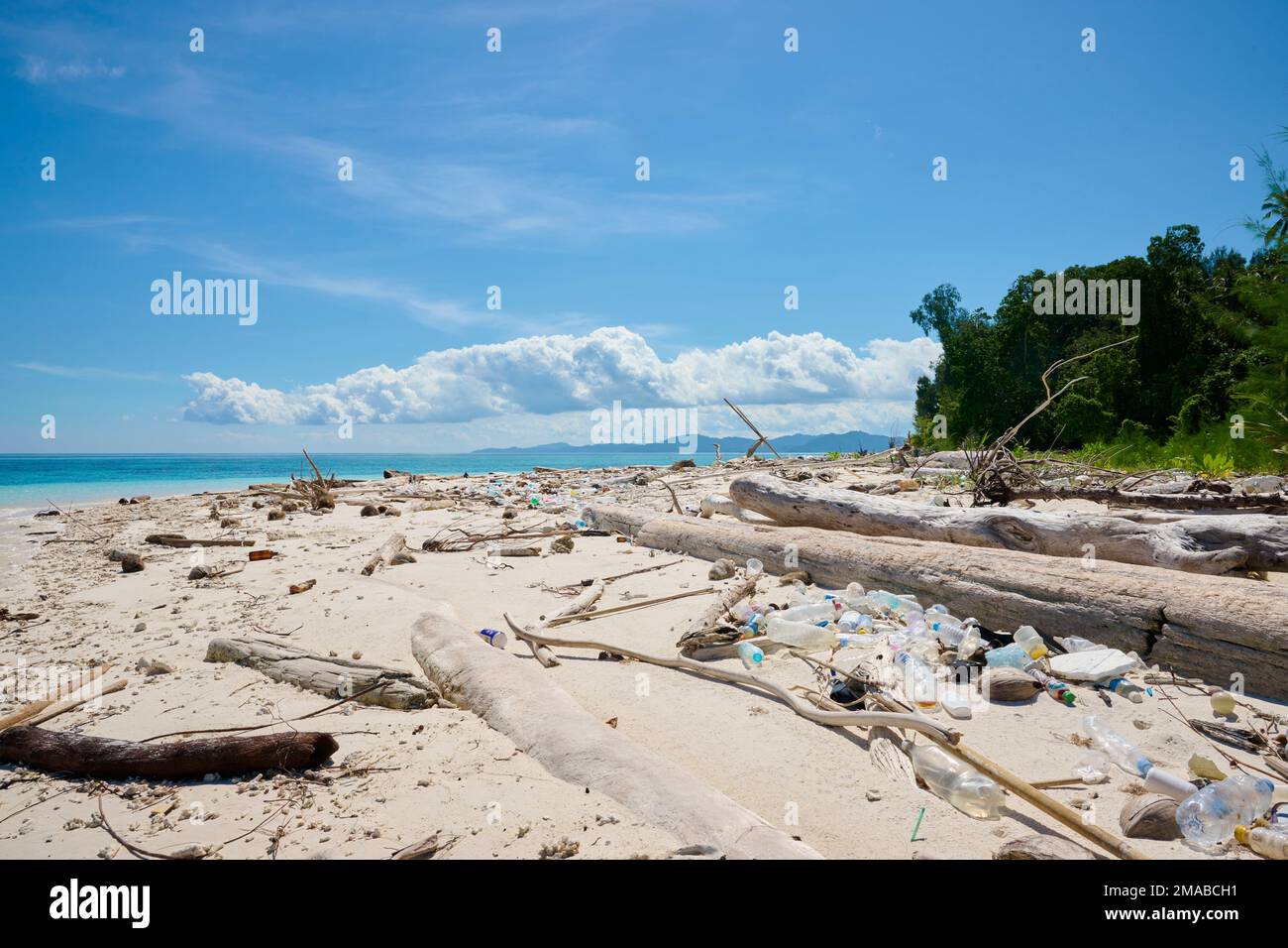 The sad truth of how plastic ends up on the worlds beaches after being ...