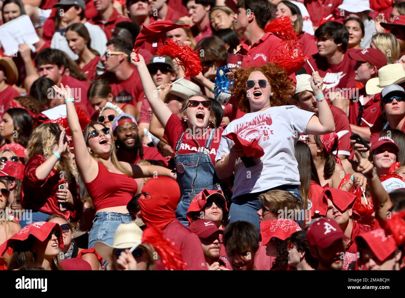 Arkansas fans cheer on the Razorbacks during their game against Alabama ...