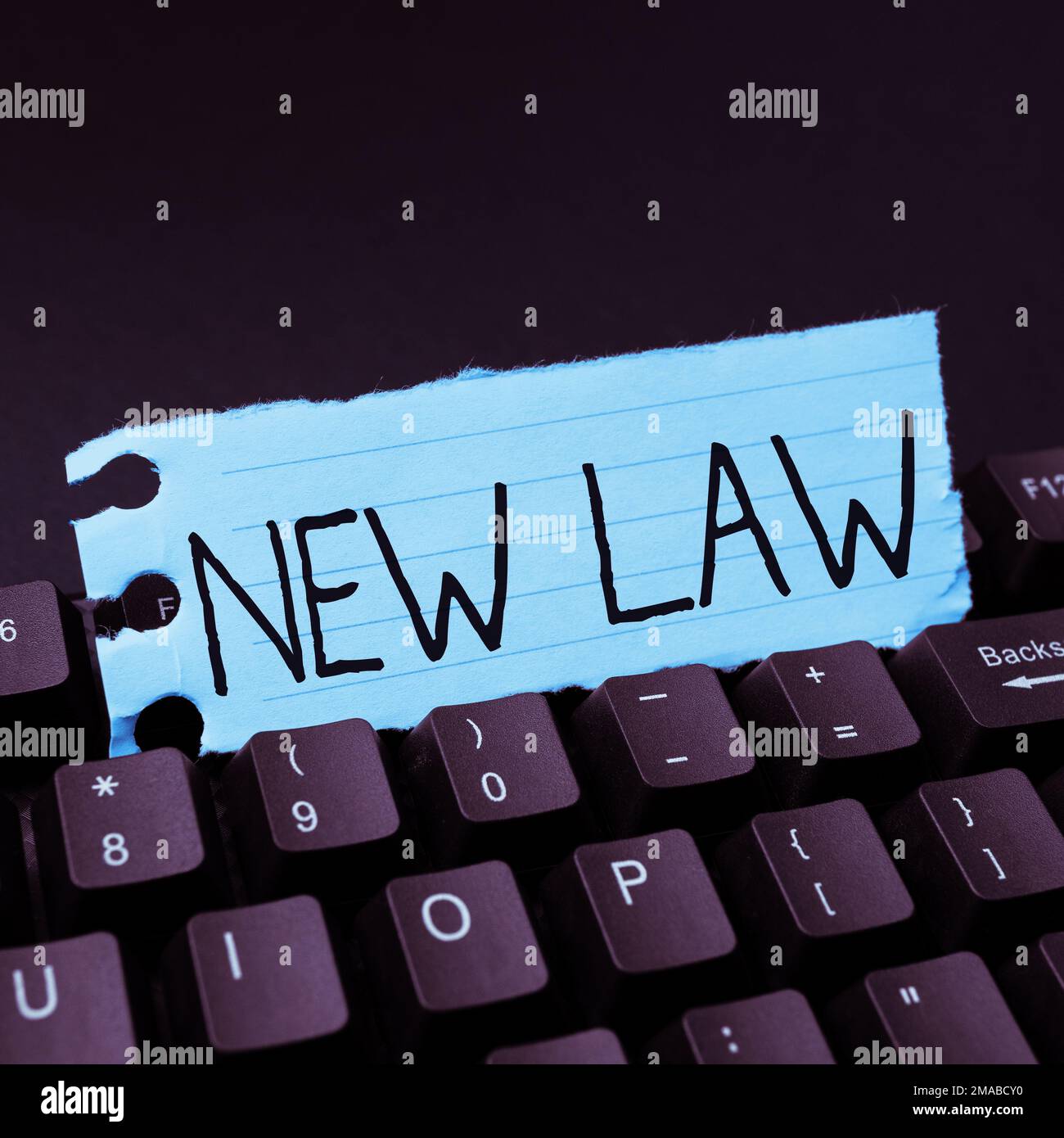 Text sign showing New Law. Business idea system of rules that enforced ...