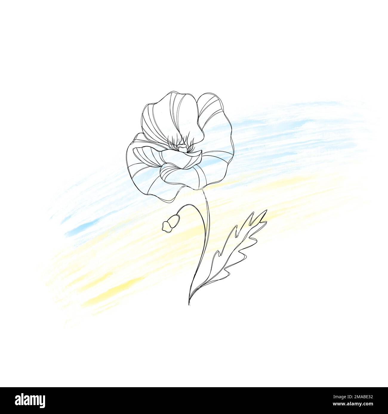 California Poppy Botanical Drawing Tattoo