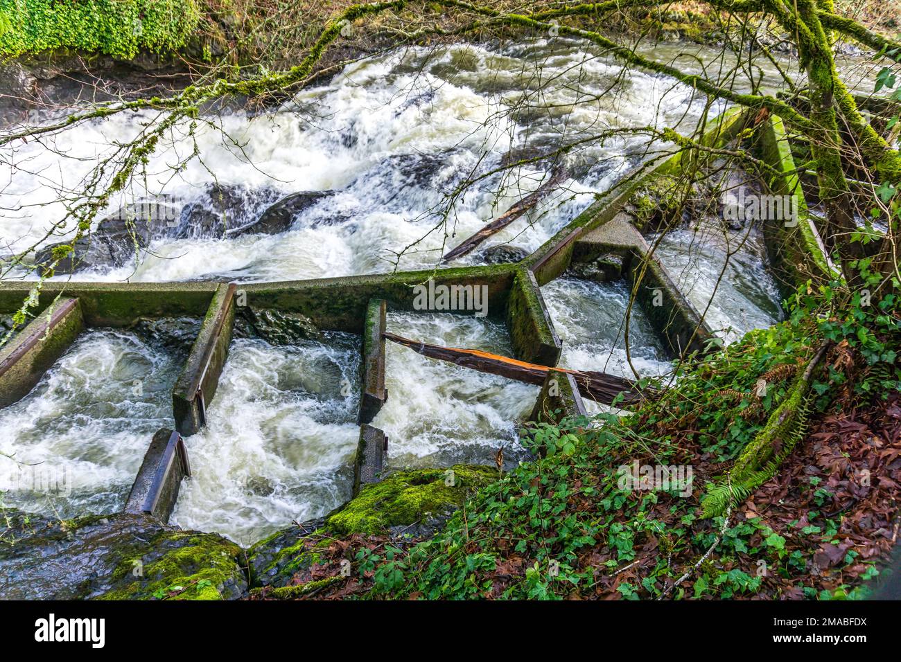 Whitewater rapids on deschutes hi-res stock photography and images - Alamy