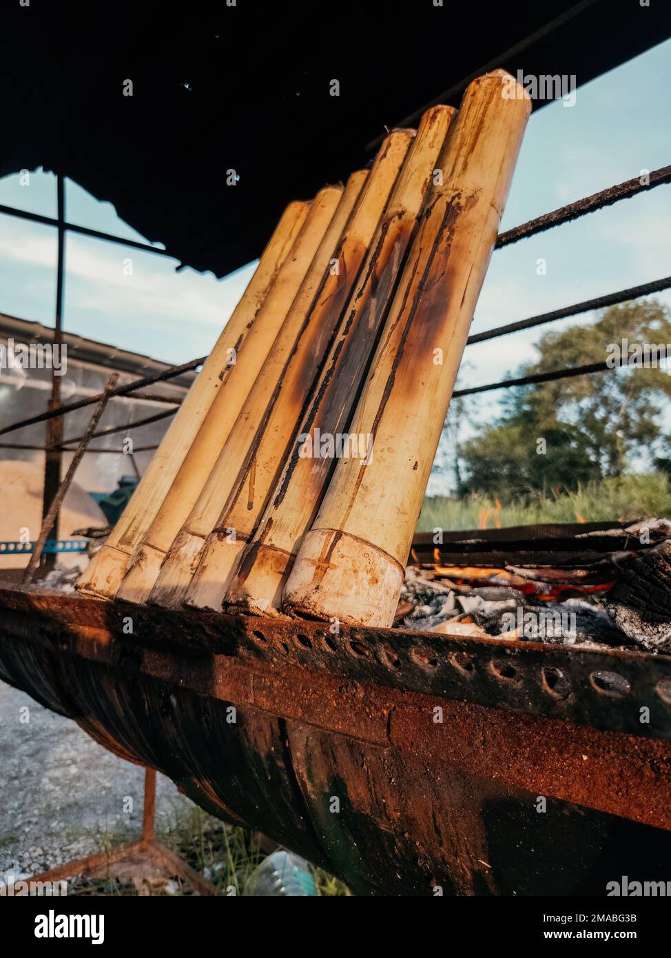 The making of Lemang, Malaysian traditional food of sticky rice cooked ...