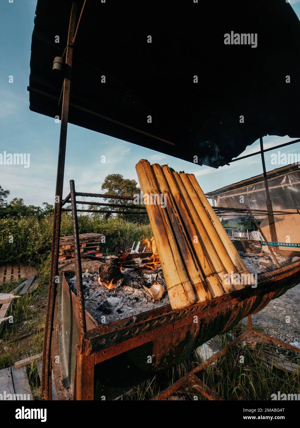 The making of Lemang, Malaysian traditional food of sticky rice cooked ...