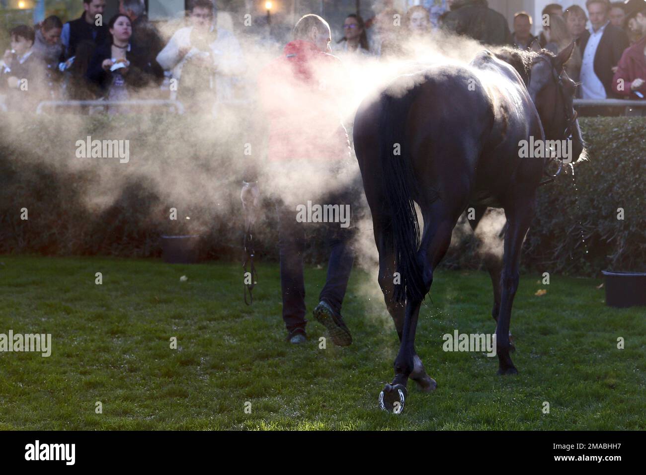 Sweating groom hi-res stock photography and images - Alamy