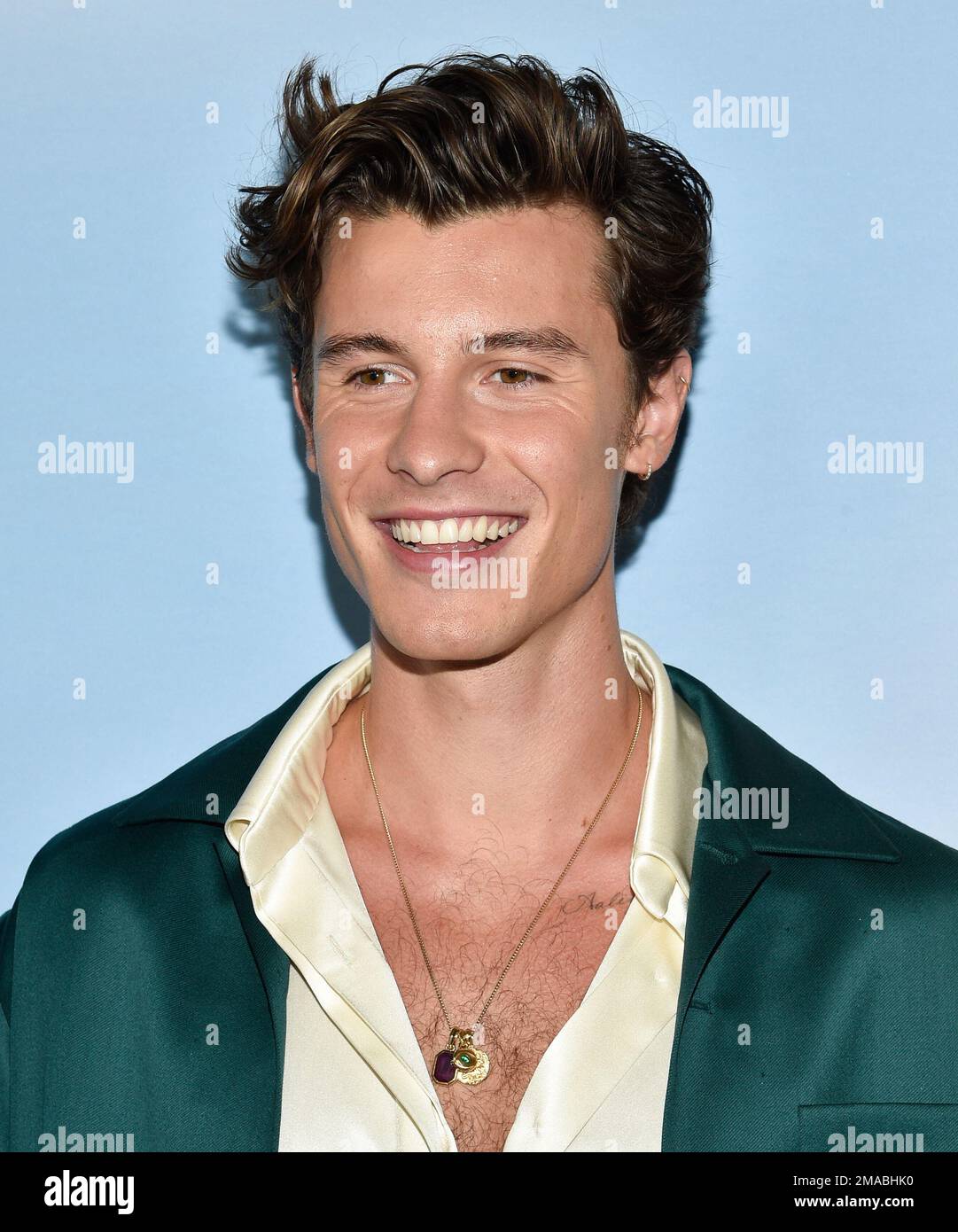 Shawn Mendes attends the premiere of "Lyle, Lyle, Crocodile" at AMC ...