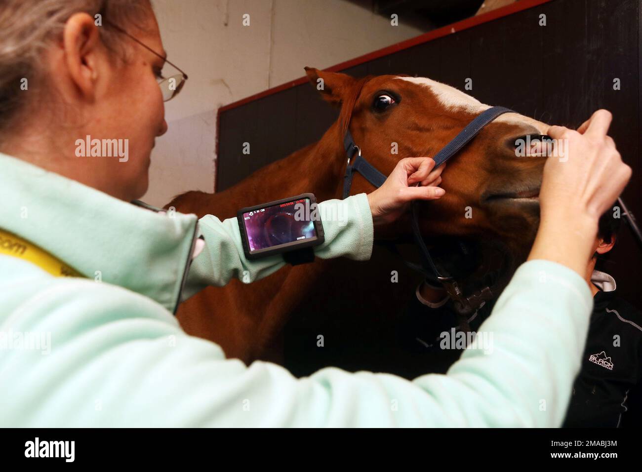 Tracheoscopy hi-res stock photography and images - Alamy