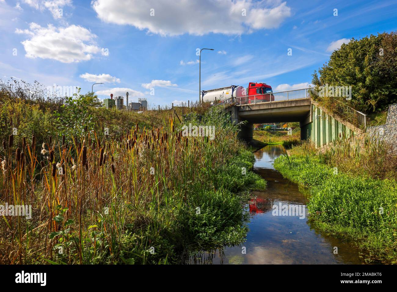 07.10.2022, Germany, North Rhine-Westphalia, Bottrop - Renaturalized ...