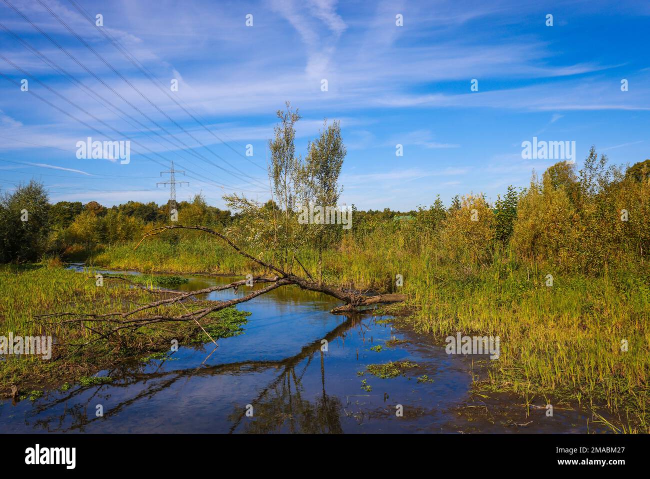 07.10.2022, Germany, North Rhine-Westphalia, Bottrop - Renaturalized ...