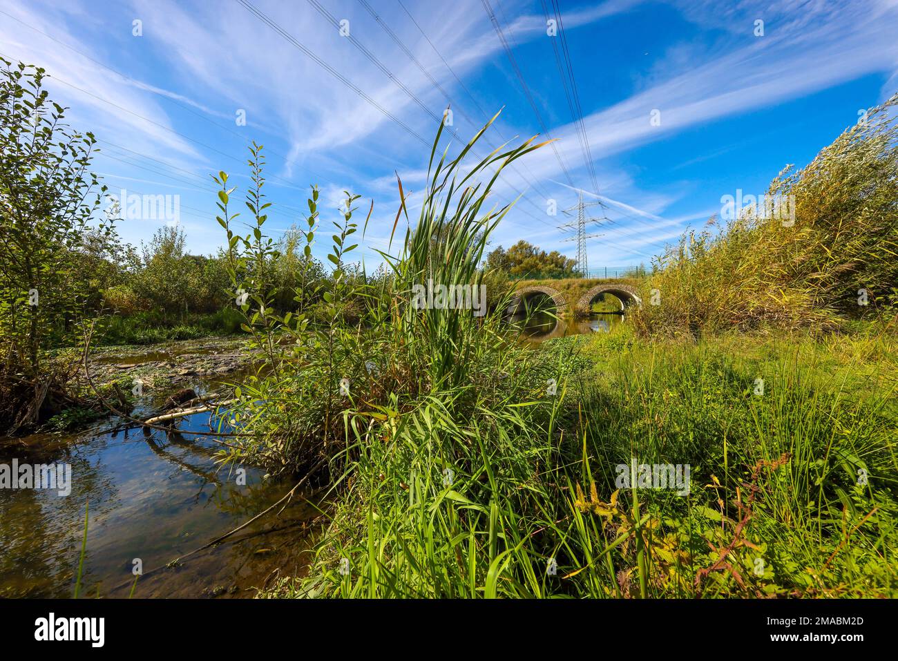07.10.2022, Germany, North Rhine-Westphalia, Bottrop - Renaturalized ...