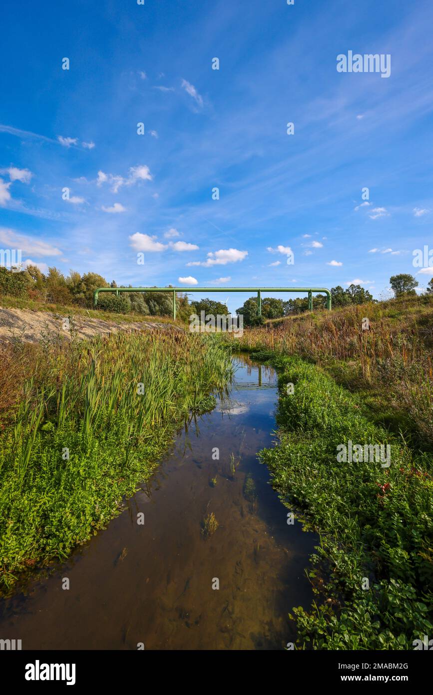 07.10.2022, Germany, North Rhine-Westphalia, Bottrop - Renaturalized ...