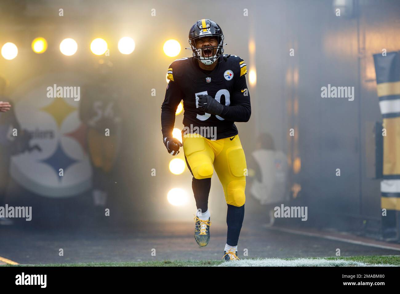 Pittsburgh Steelers linebacker Malik Reed (50) is announced before an ...