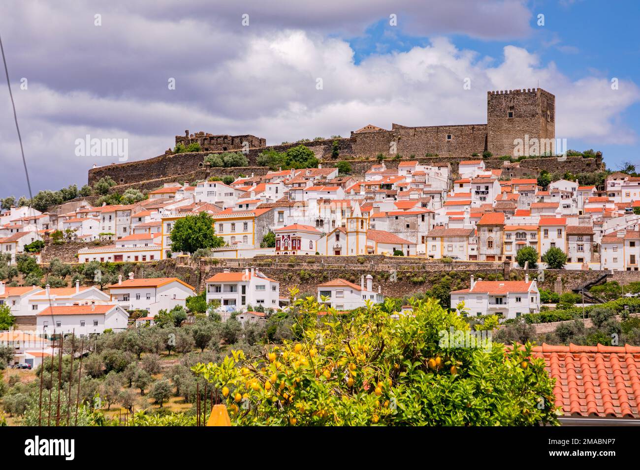 Panorama with the houses and the castle fortress of the historical town ...