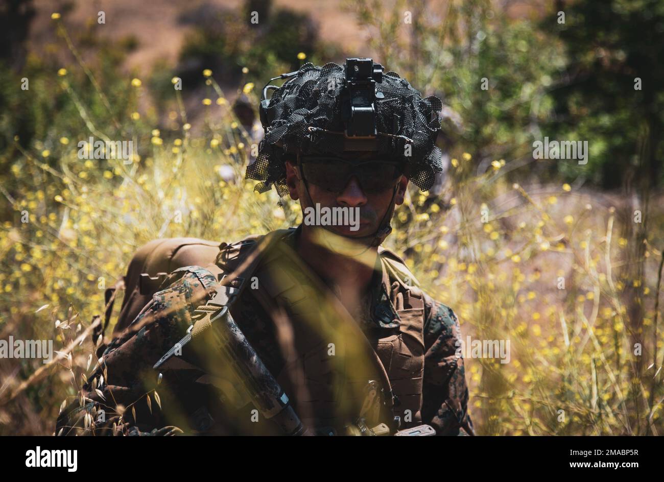 223b hi-res stock photography and images - Alamy