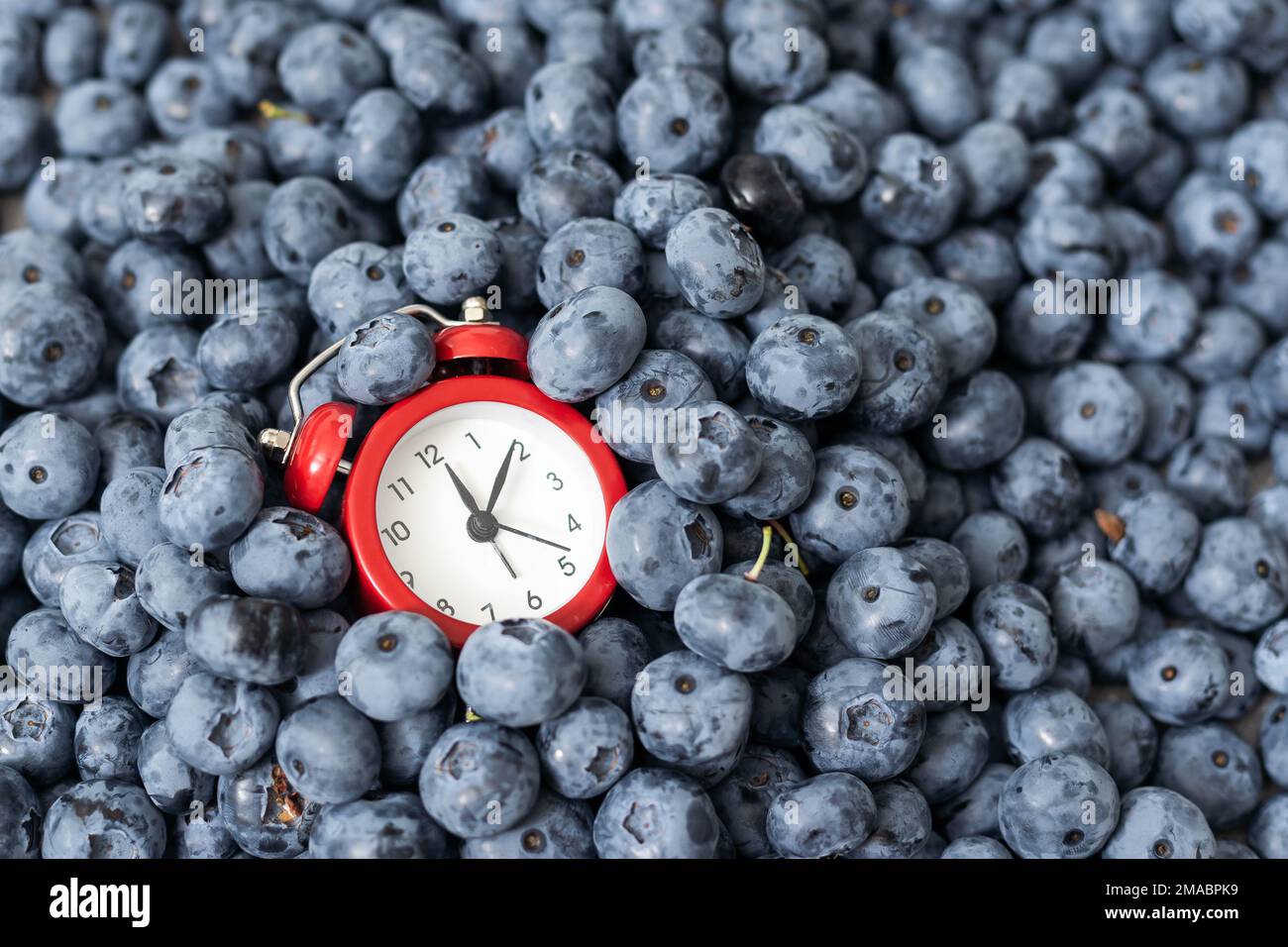 vintage alarm clock on blueberry background Stock Photo - Alamy