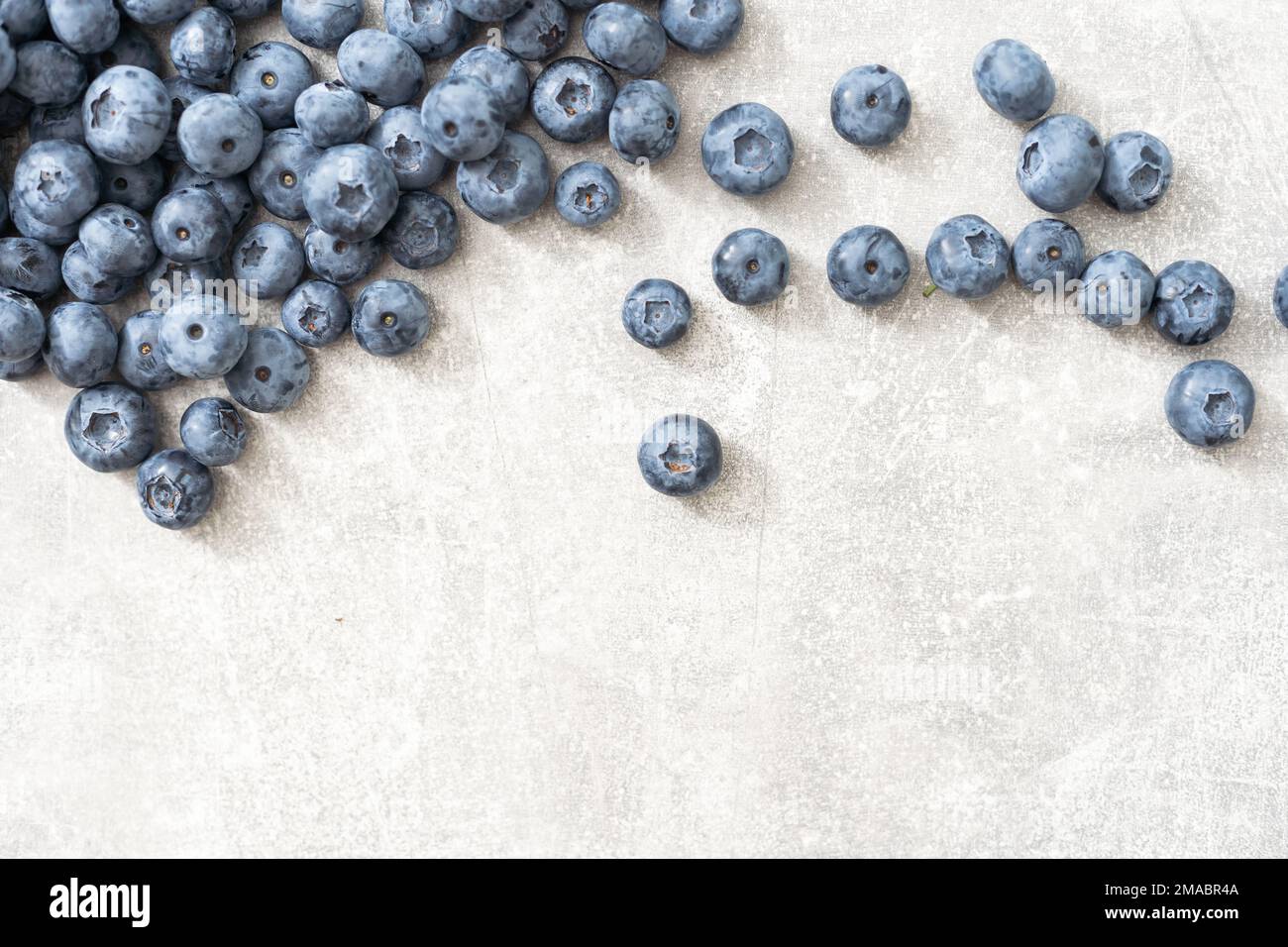 Raw Organic Blueberries on a gray background, side view. Copy space ...