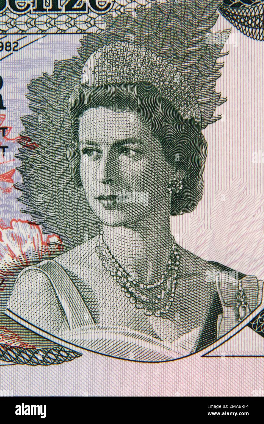 Queen Elizabeth the second portrait on the Belize banknote Stock Photo ...
