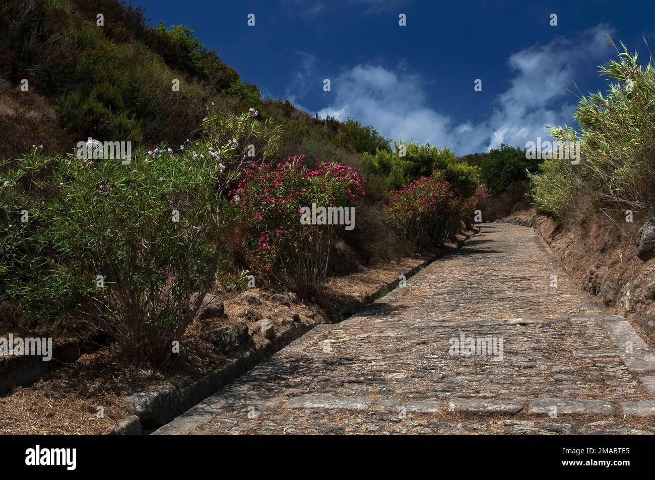 Via di porta rosa hi-res stock photography and images - Alamy