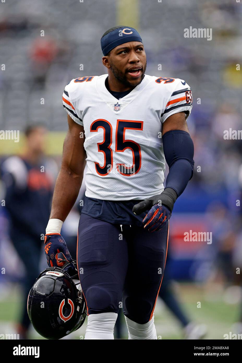 Chicago Bears Fullbacks History