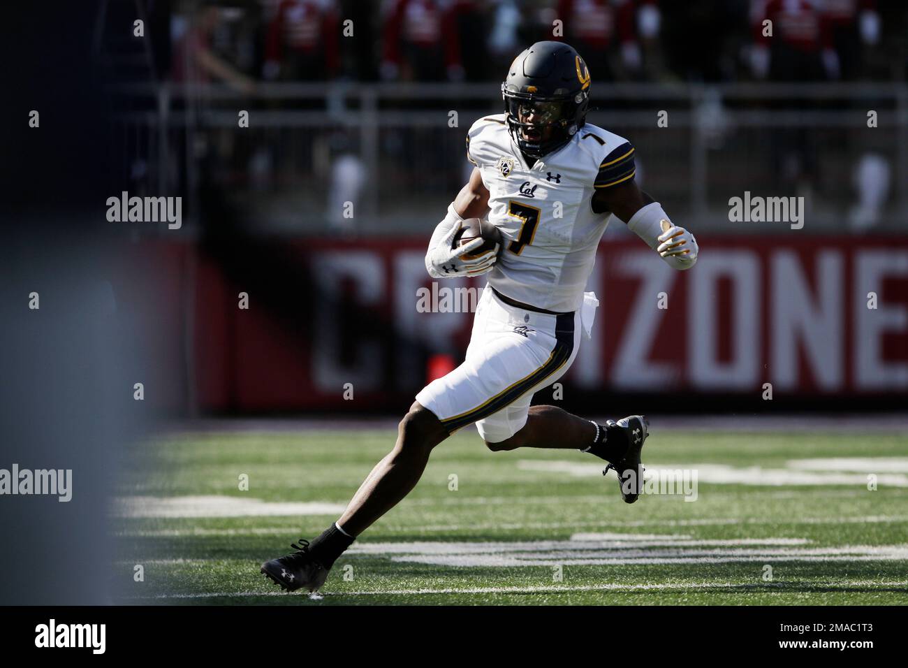 California wide receiver J. Michael Sturdivant carries the ball during ...