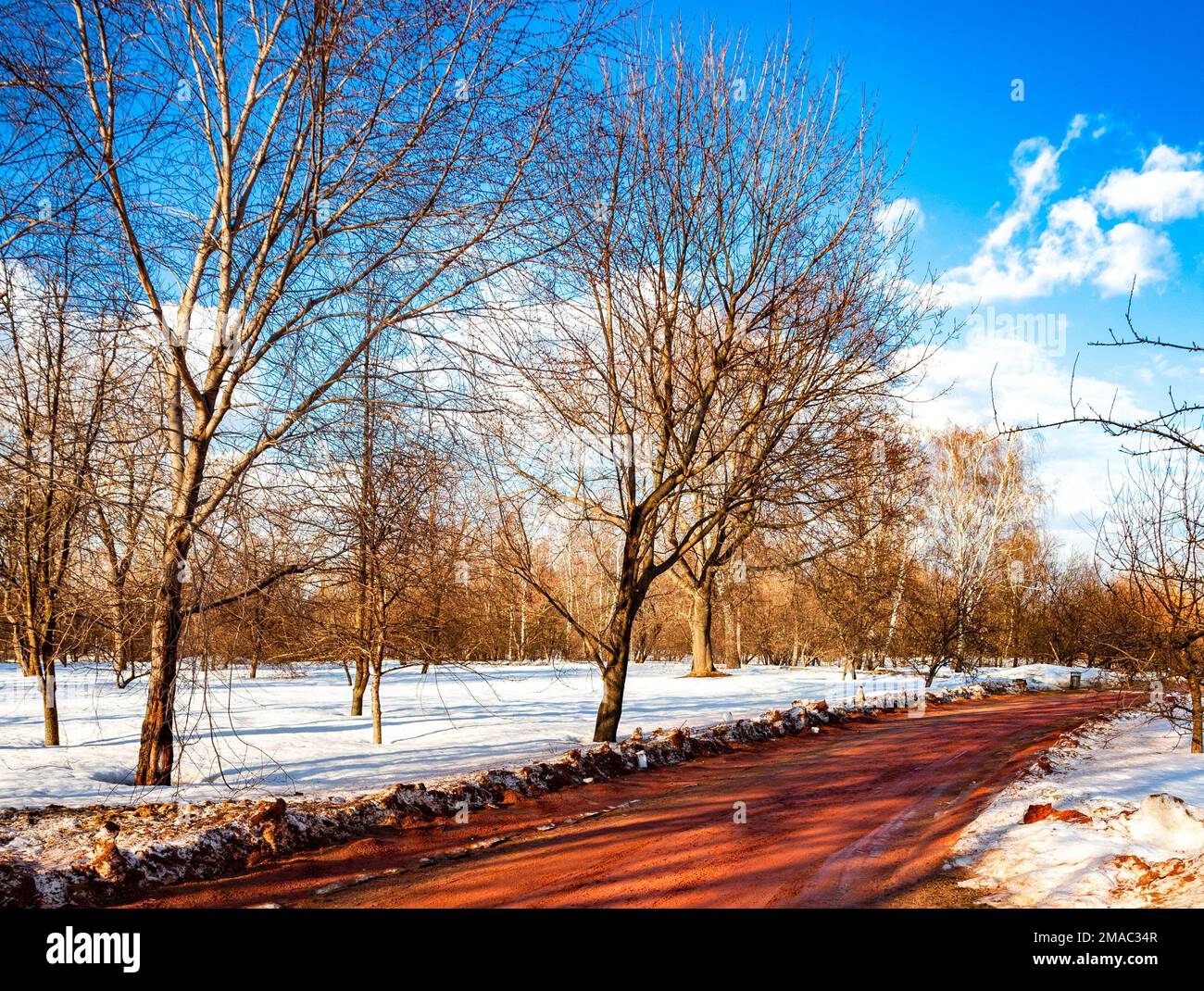 alley in the park in early spring. park in early spring. early spring ...