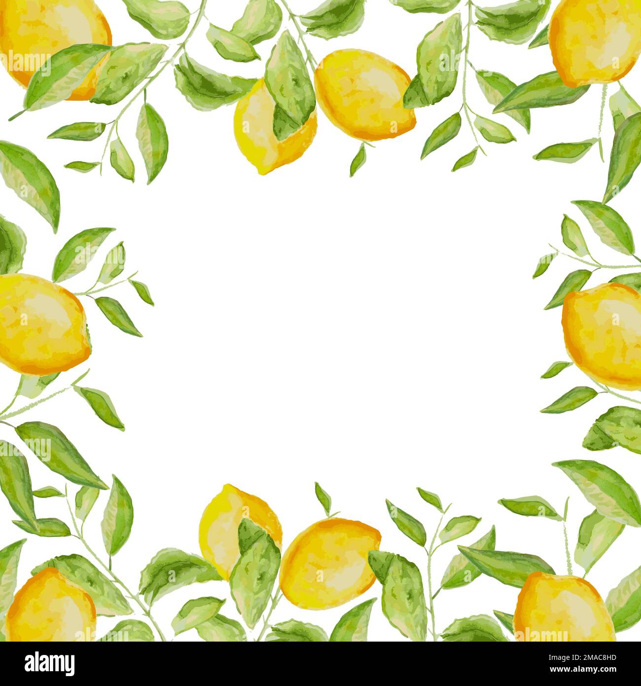 Hand-drawn watercolor painting lemon frame on white background. Vector ...