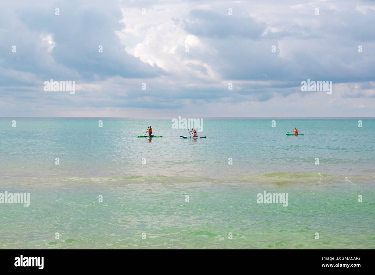 Tourists sail on sap boards across the blue sea on a summer day. Travel ...