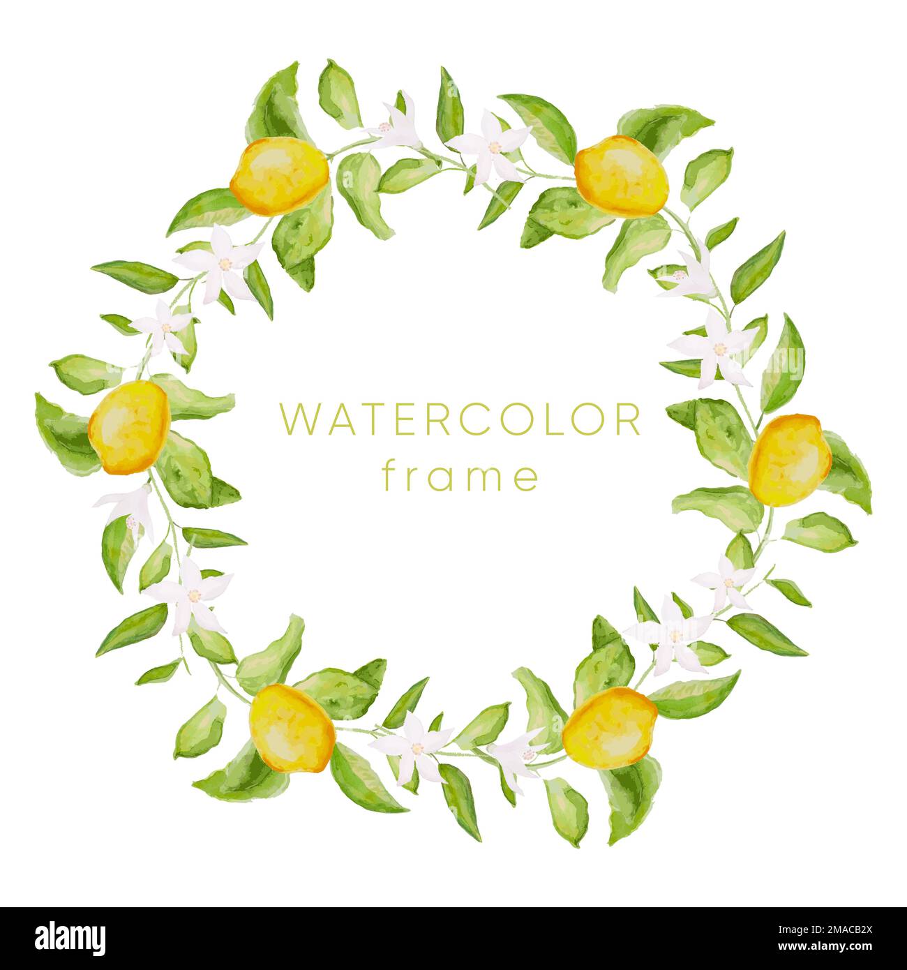 Yellow green tree buds Stock Vector Images - Alamy