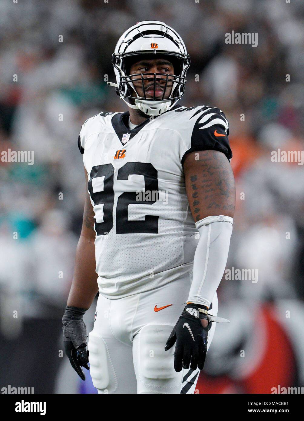 Cincinnati Bengals defensive tackle BJ Hill (92) plays during an NFL ...