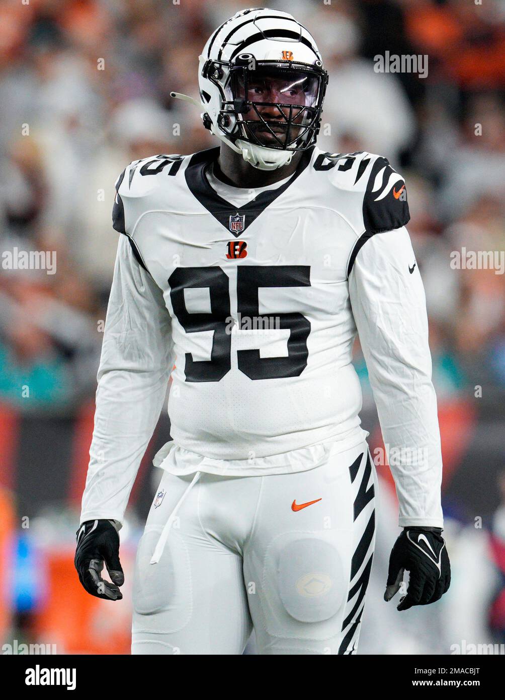 Cincinnati Bengals defensive tackle Zach Carter (95) plays during an ...