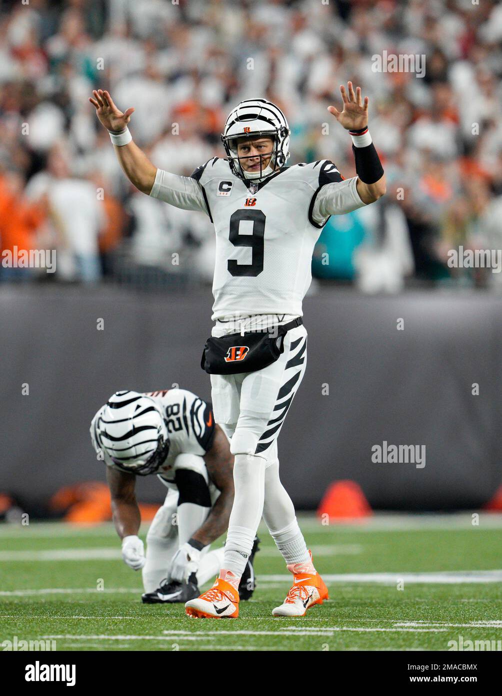 Cincinnati Bengals quarterback Joe Burrow (9) plays during an NFL ...