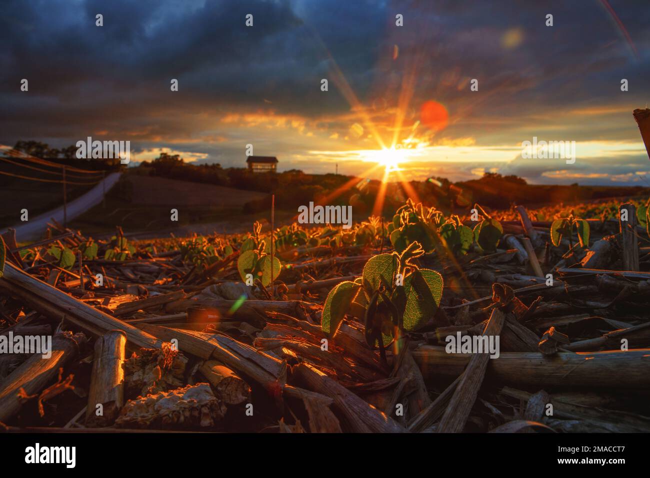 Newlife hi-res stock photography and images - Alamy