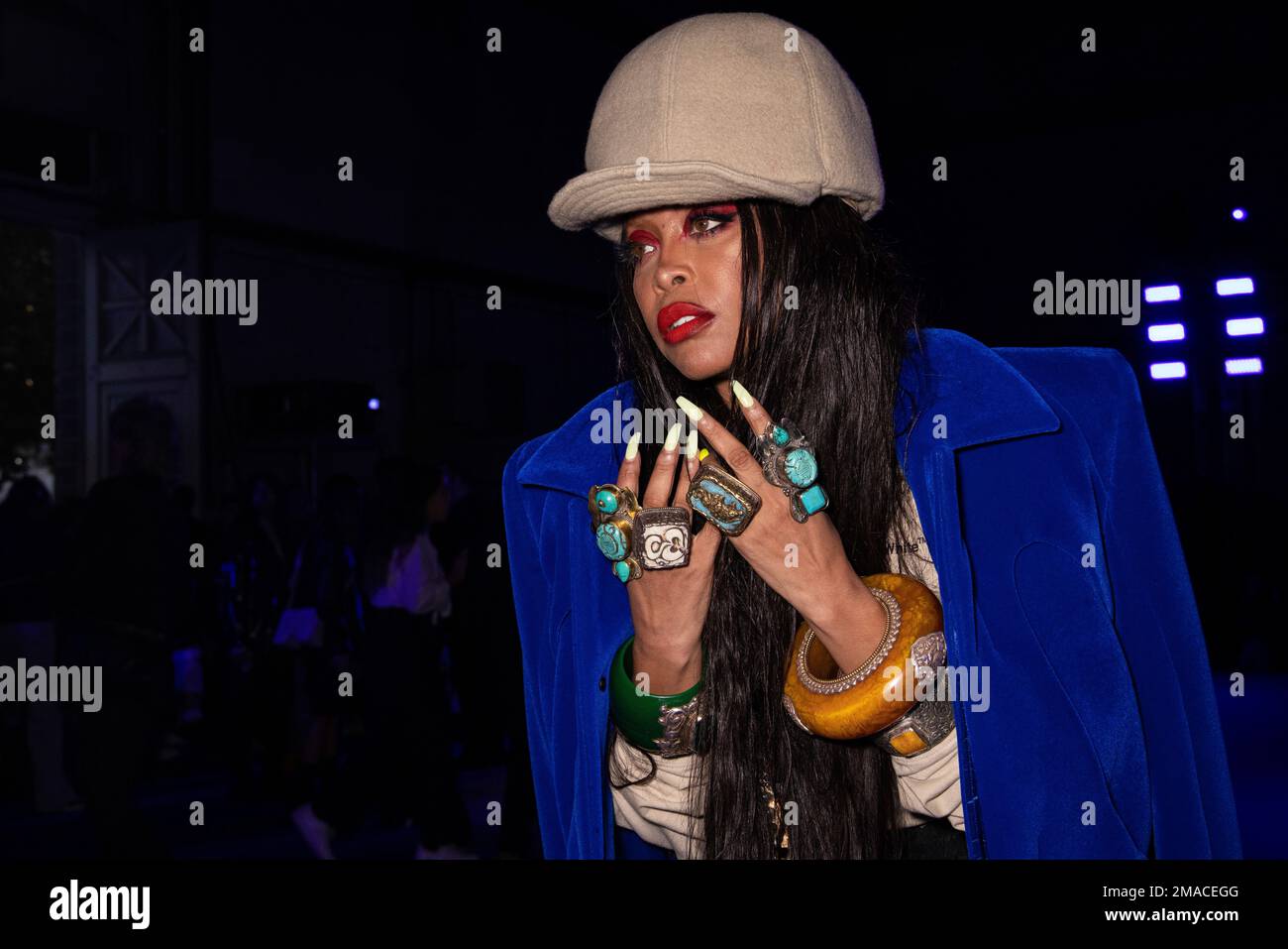 Erykah Badu Hair 2022