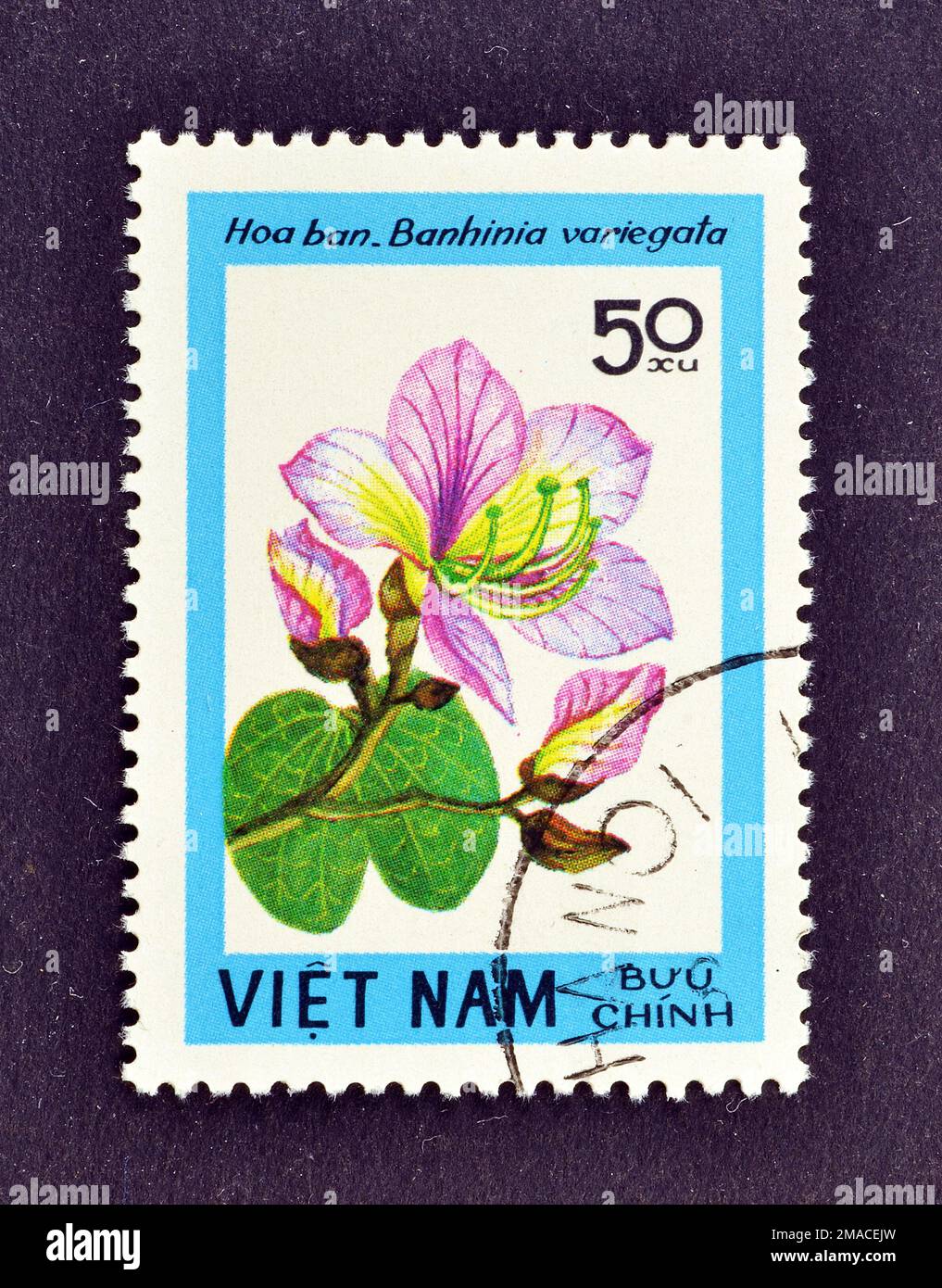 Cancelled postage stamp printed by Vietnam, that shows Orchid tree or ...