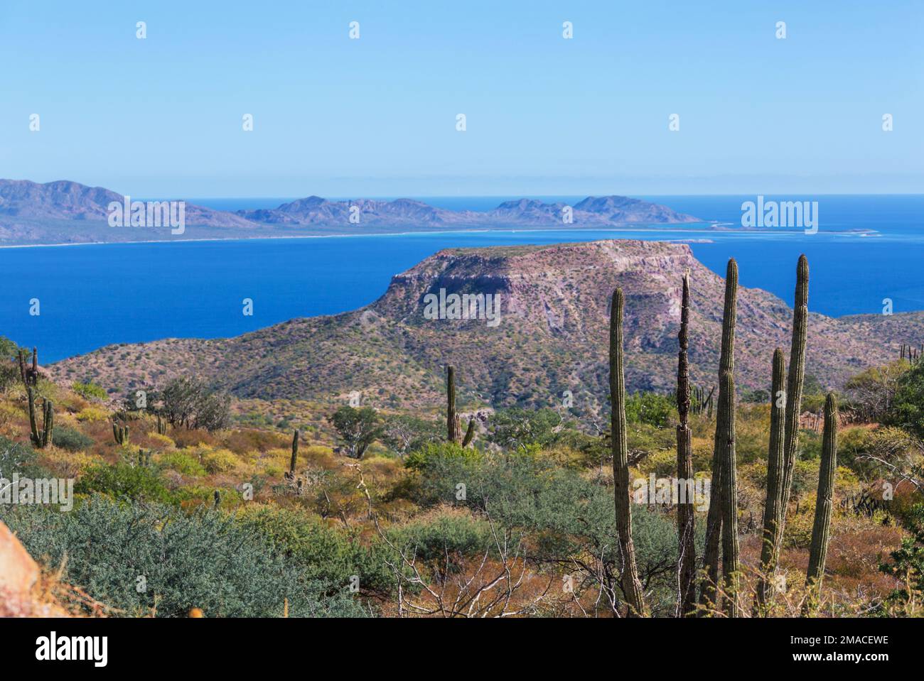 Beautuful Baja California landscapes, Mexico. Travel background ...